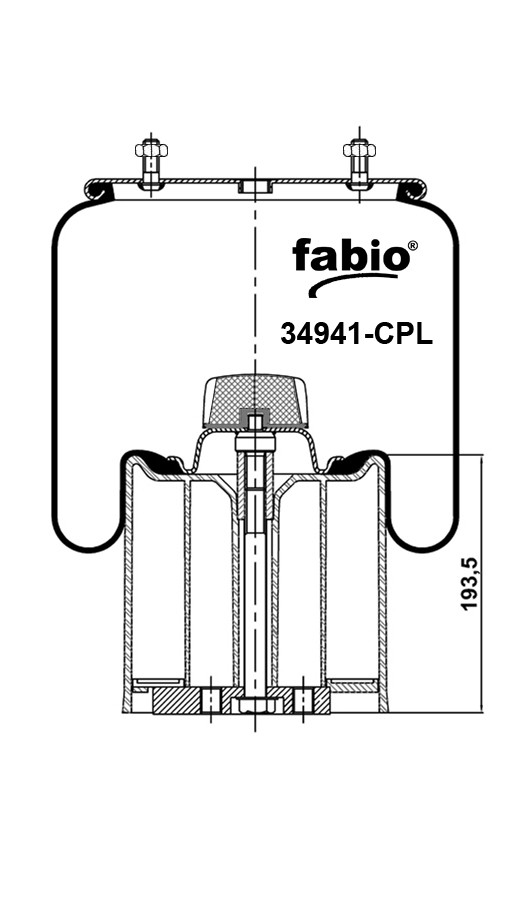 34941-CPL - Complete With Plastic Piston